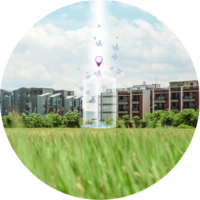 Dylan Bright 岱嵐創建