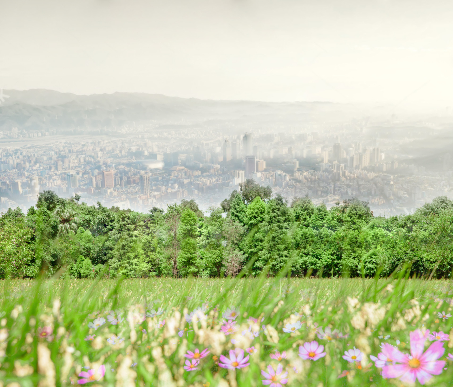 Dylan Bright 岱嵐創建