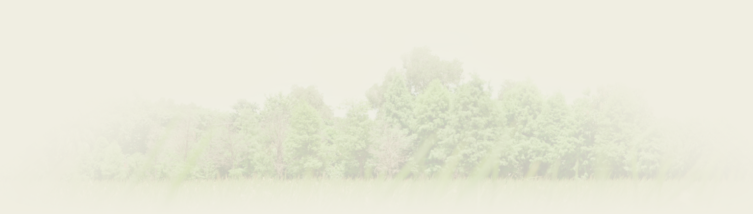 Dylan Bright 岱嵐創建